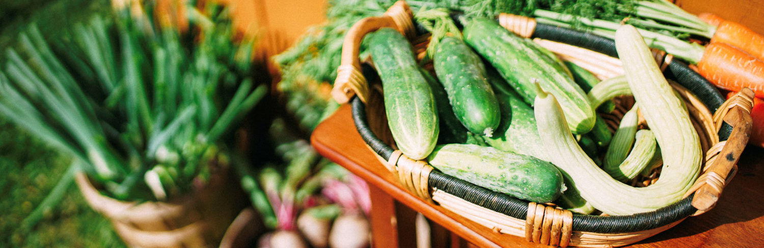 Our Farms - Saco River Farms